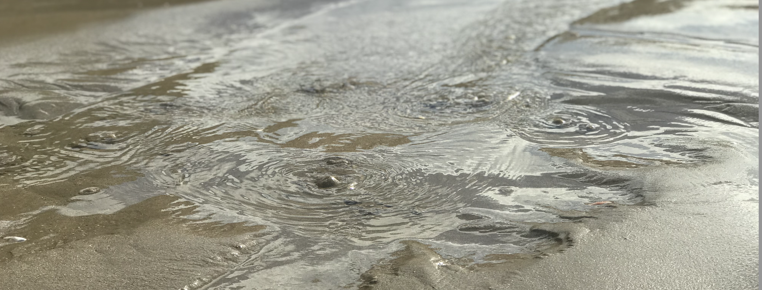 Patchiness and small-scale variability in the microbial dimension of ...
