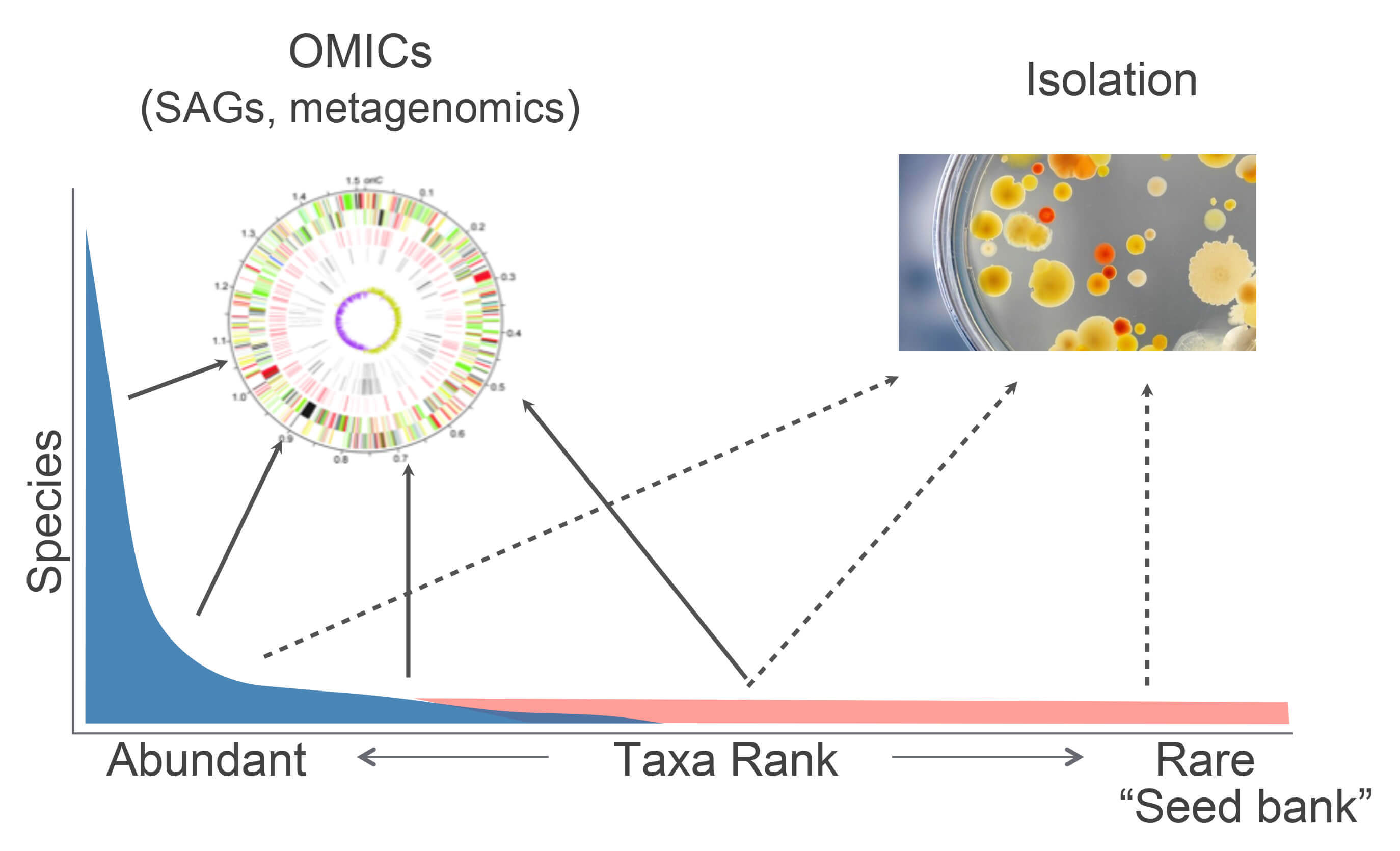 Genes and Genomes: Function and Evolution | Ecology of Marine Microbes